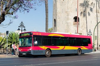 Seville Move Around - Dcwtours